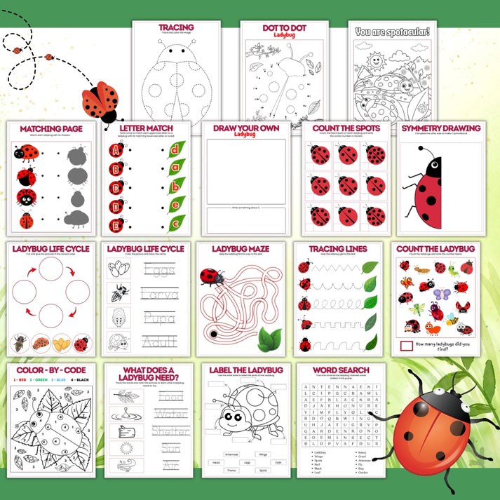 PLR Ladybug Life Cycle and Activity Bundle – plr-printables-store